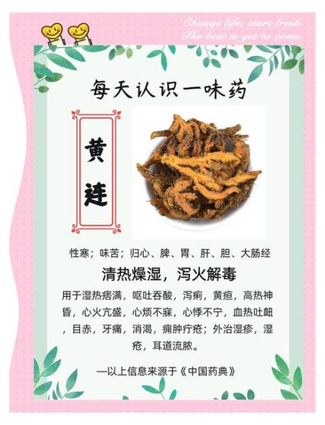 黄连的功效与作用_黄连能治疗哪些疾病-第1张图片-山城妙识 黄连的功效与作用_黄连能治疗哪些疾病-第1张图片-山城妙识