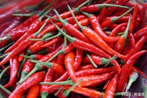 魔鬼辣椒辣死过多少人_真的吃死人了吗-第3张图片-山城妙识