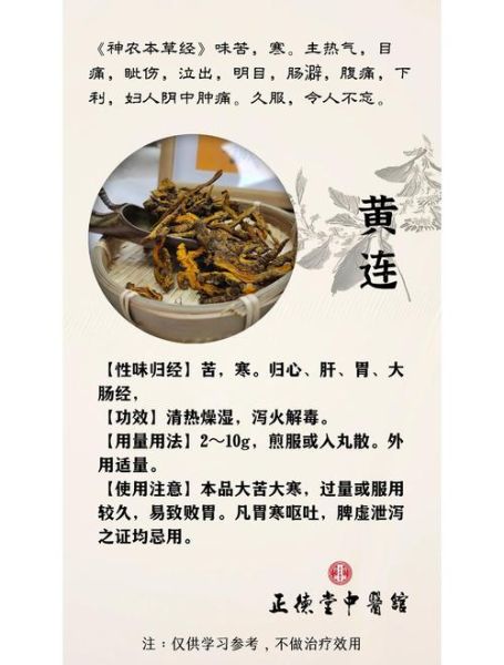 黄连的功效与作用_黄连能治疗哪些疾病-第2张图片-山城妙识 黄连的功效与作用_黄连能治疗哪些疾病-第2张图片-山城妙识