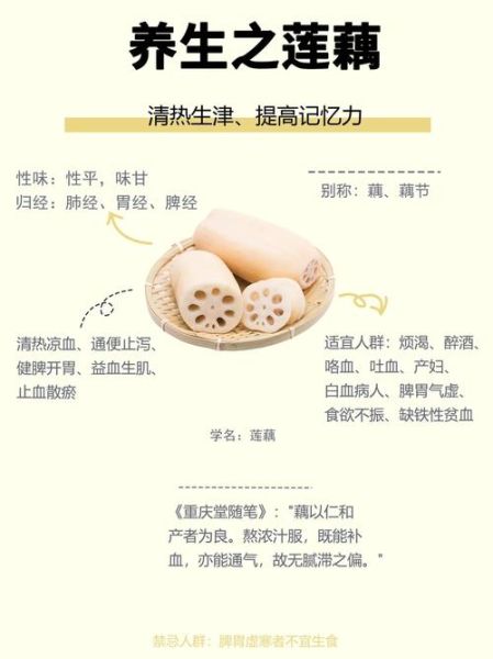 莲藕的功效与作用_莲藕怎么吃最养生-第1张图片-山城妙识