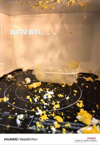 微波炉煮饭要多久_微波炉煮饭会爆炸吗-第1张图片-山城妙识