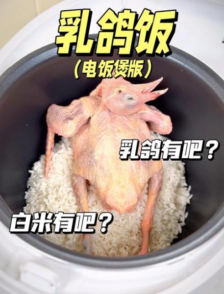 电饭煲乳鸽怎么做_电饭煲乳鸽的做法大全-第2张图片-山城妙识