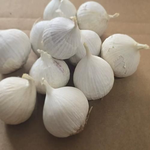 苍山大蒜最新价格_多少钱一斤-第1张图片-山城妙识
