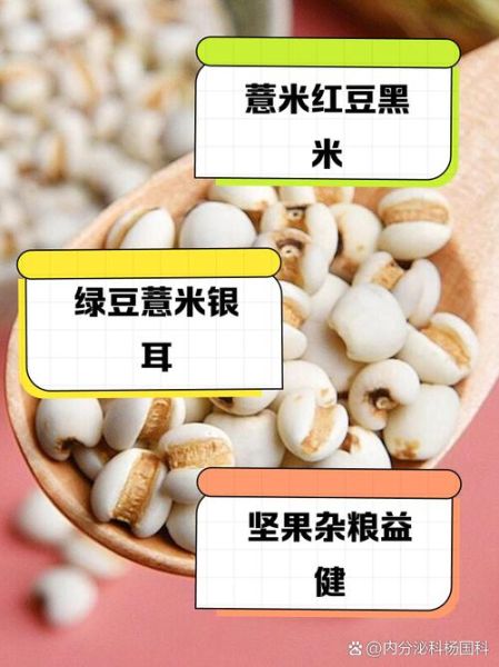 薏米和什么一起煮粥最好_薏米粥最佳搭配-第2张图片-山城妙识 薏米和什么一起煮粥最好_薏米粥最佳搭配-第2张图片-山城妙识