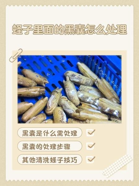 吃蛏子要除掉内脏吗_蛏子内脏怎么清理-第1张图片-山城妙识