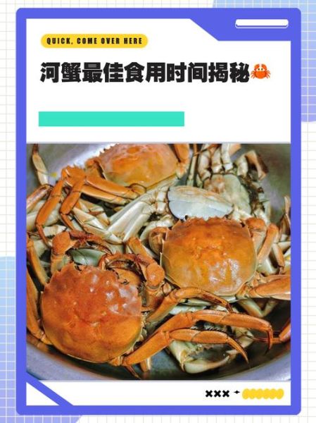 螃蟹什么时候吃最好_最佳食用月份-第2张图片-山城妙识