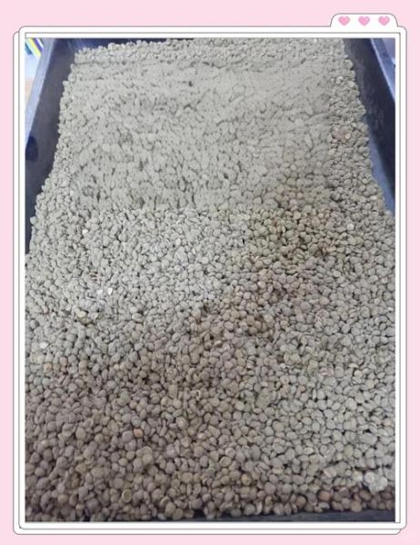 豆瓣酱怎么做最正宗_家庭自制豆瓣酱详细步骤-第3张图片-山城妙识