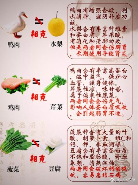 哪些食物相克_食物相生相克表大全-第2张图片-山城妙识