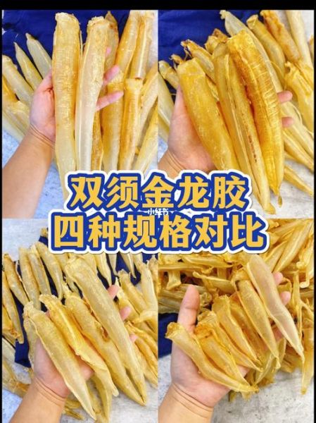 金龙鱼胶的功效与作用_金龙鱼胶适合什么人吃-第3张图片-山城妙识