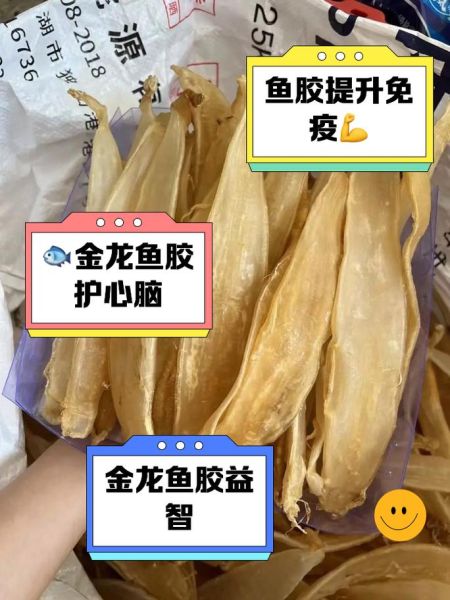 金龙鱼胶的功效与作用_金龙鱼胶适合什么人吃-第1张图片-山城妙识