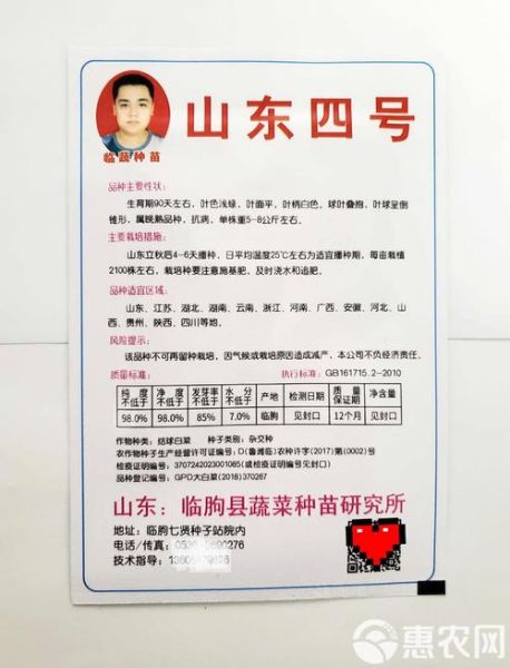 蔬菜种子怎么选_蔬菜种子批发哪里便宜-第2张图片-山城妙识