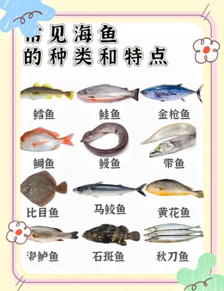 海鱼种类有哪些_如何挑选新鲜海鱼-第1张图片-山城妙识