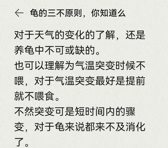 为什么不能养三只乌龟_三只乌龟风水禁忌-第3张图片-山城妙识