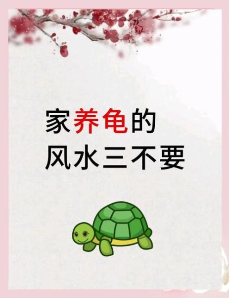 为什么不能养三只乌龟_三只乌龟风水禁忌-第1张图片-山城妙识