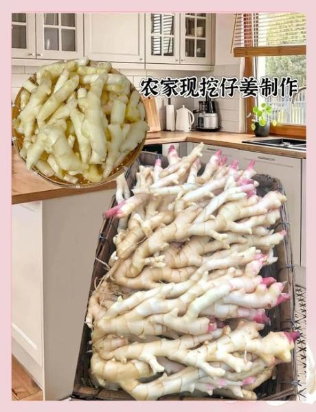 腌制姜芽的做法大全_如何保存姜芽脆嫩不辣-第2张图片-山城妙识