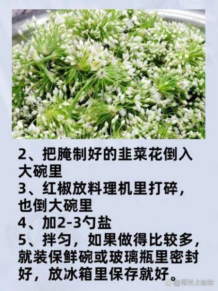 韭花怎么腌制好吃_韭花腌制视频教程-第2张图片-山城妙识