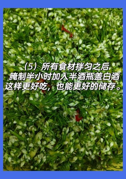 韭花怎么腌制好吃_韭花腌制视频教程-第3张图片-山城妙识
