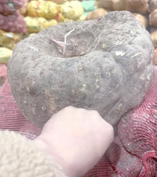 魔芋粉的功效与作用禁忌_哪些人不能吃-第2张图片-山城妙识 魔芋粉的功效与作用禁忌_哪些人不能吃-第2张图片-山城妙识