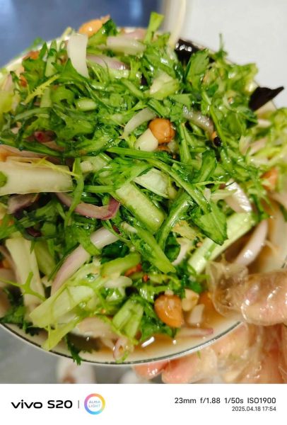 苦菊怎么做好吃_苦菊热菜做法大全-第3张图片-山城妙识