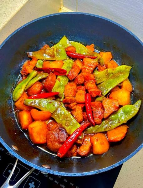豆角烧肉怎么烧好吃_豆角烧肉的做法步骤-第1张图片-山城妙识