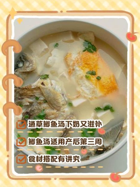 鲫鱼豆腐汤催奶一般几次见效_喝多久才有奶-第1张图片-山城妙识