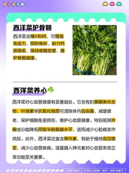 西洋菜蜜是什么_西洋菜蜜的功效与作用-第3张图片-山城妙识 西洋菜蜜是什么_西洋菜蜜的功效与作用-第3张图片-山城妙识