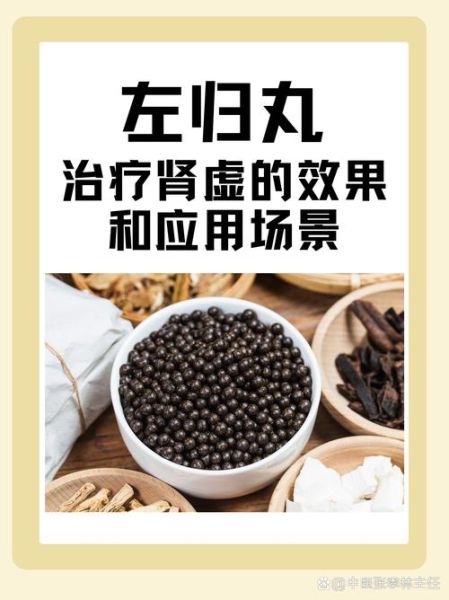 肾虚吃什么食物能补_肾虚吃什么药效果最好-第1张图片-山城妙识