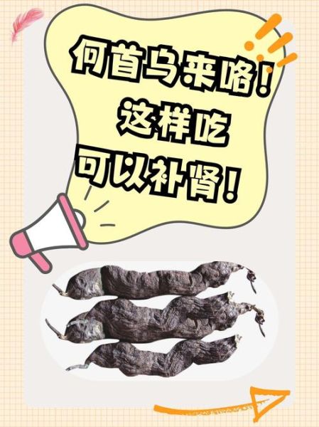 何首乌怎么吃最好_何首乌的正确吃法-第1张图片-山城妙识