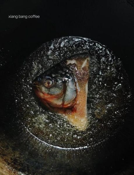 食人鲳图片_食人鲳长什么样-第3张图片-山城妙识 食人鲳图片_食人鲳长什么样-第3张图片-山城妙识