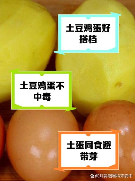 鸡蛋土豆能一起吃吗_会不会中毒-第1张图片-山城妙识