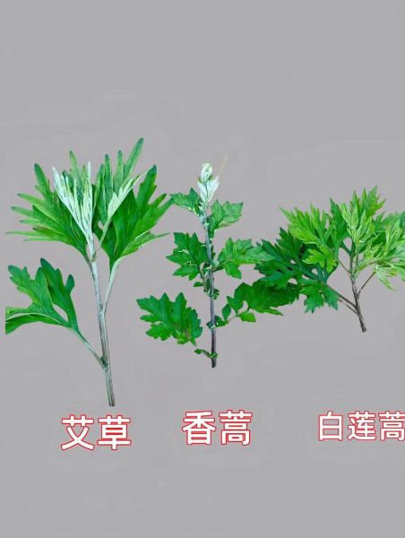 艾草青团的功效与作用_孕妇能吃吗-第1张图片-山城妙识