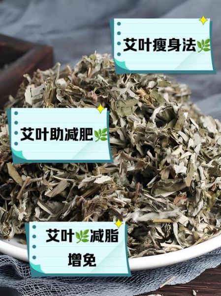艾草能减肥吗_艾草减肥的正确方法-第3张图片-山城妙识