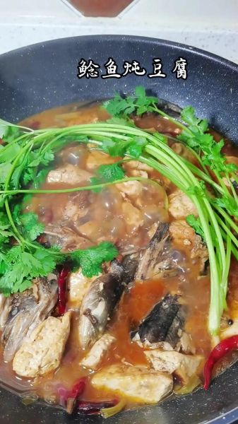 酱炖鲶鱼怎么做_酱炖鲶鱼最正宗的做法-第2张图片-山城妙识