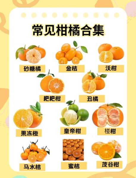 桔子的拼音怎么拼_桔子是juzi还是juzhi-第1张图片-山城妙识