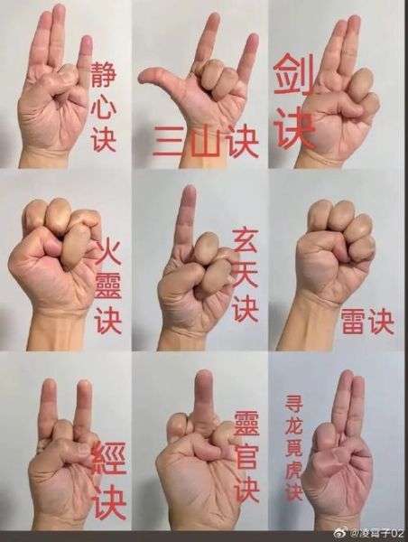 黯然销魂掌口诀_招式怎么练-第1张图片-山城妙识