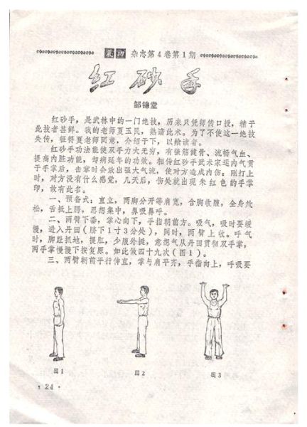 黯然销魂掌口诀_招式怎么练-第3张图片-山城妙识