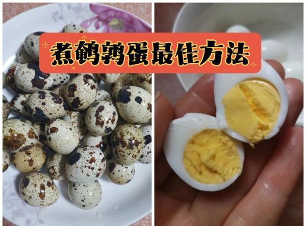 生鹌鹑蛋怎么煮_鹌鹑蛋煮多久才熟-第1张图片-山城妙识