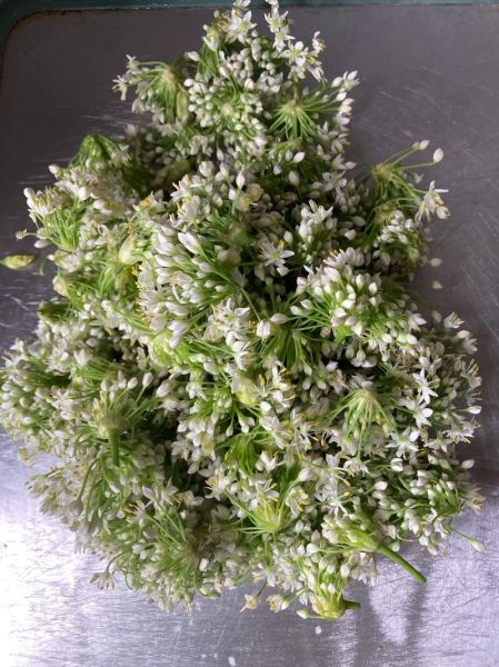 怎样腌韭菜花_韭菜花腌制能放多久-第1张图片-山城妙识