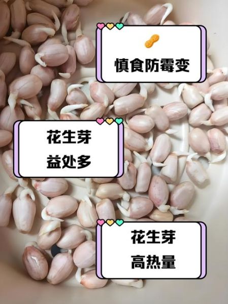 花生发芽了还能吃吗_花生芽有毒吗-第2张图片-山城妙识 花生发芽了还能吃吗_花生芽有毒吗-第2张图片-山城妙识