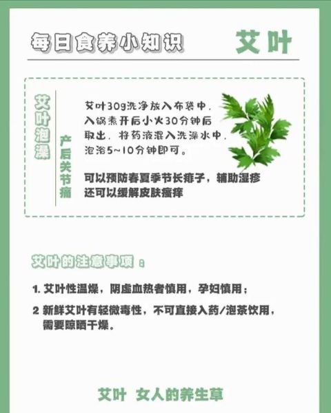 艾草对肝的功效与作用_艾草护肝怎么吃才有效-第2张图片-山城妙识