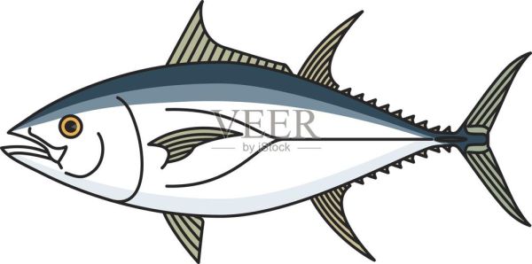 金枪鱼图片卡通_怎么画才可爱-第3张图片-山城妙识