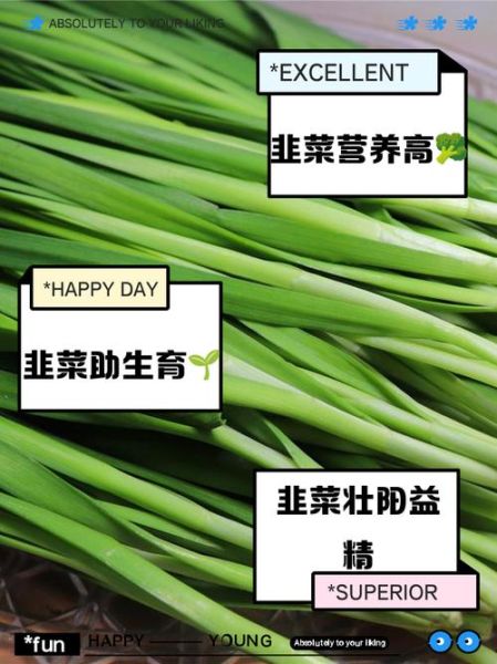 韭菜怎么吃最壮阳_韭菜壮阳的正确吃法-第1张图片-山城妙识