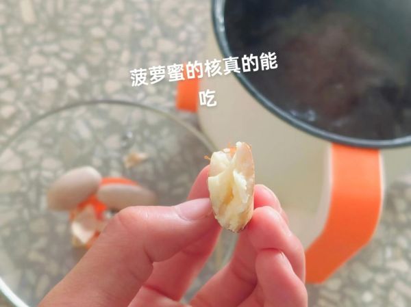 菠萝蜜的核能吃吗_煮多久才软糯-第3张图片-山城妙识