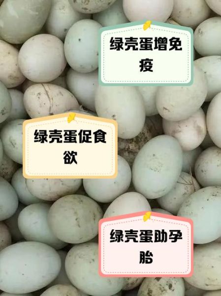 绿壳鸡蛋和普通鸡蛋有区别吗_营养价值对比-第2张图片-山城妙识
