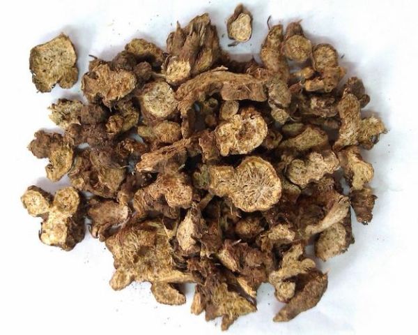 苍术价格多少钱一斤_苍术多少钱一斤2024最新行情-第3张图片-山城妙识