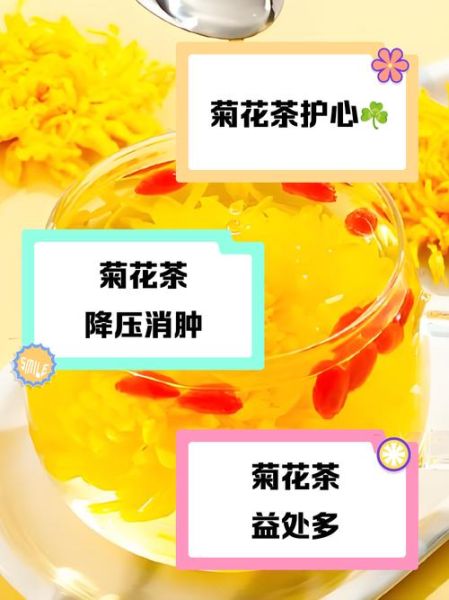 长期喝菊花茶有什么好处_长期喝菊花茶能降血压吗-第1张图片-山城妙识