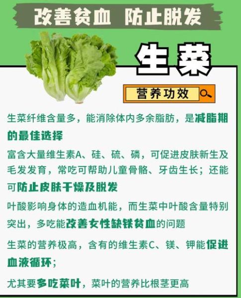 生菜不能和什么一起吃_生菜三大禁忌是什么-第1张图片-山城妙识 生菜不能和什么一起吃_生菜三大禁忌是什么-第1张图片-山城妙识