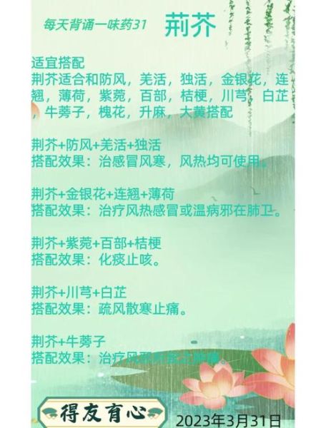 荆芥的功效与作用_荆芥的禁忌有哪些-第1张图片-山城妙识 荆芥的功效与作用_荆芥的禁忌有哪些-第1张图片-山城妙识