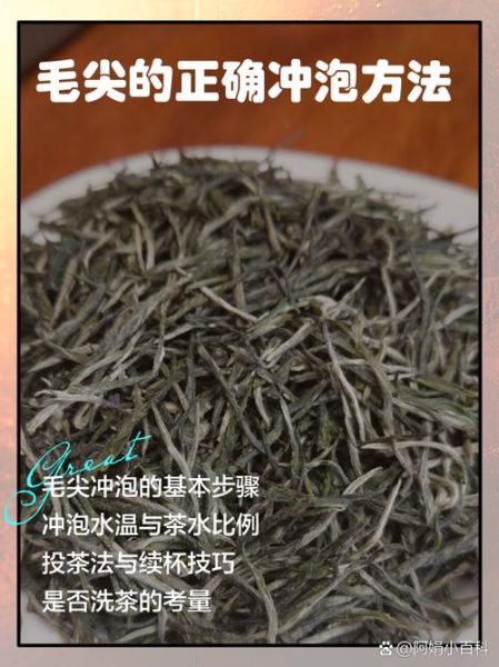 毛尖是什么茶_毛尖怎么泡才最好喝-第1张图片-山城妙识