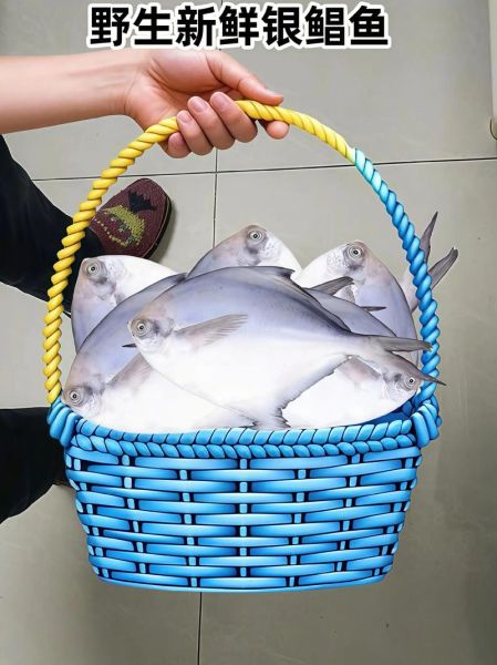 银鲳鱼的功效与作用_孕妇能吃吗-第3张图片-山城妙识 银鲳鱼的功效与作用_孕妇能吃吗-第3张图片-山城妙识